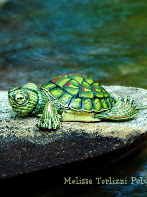 How to Sculpt Realistic Turtles in Polymer Clay | Curious Mondo