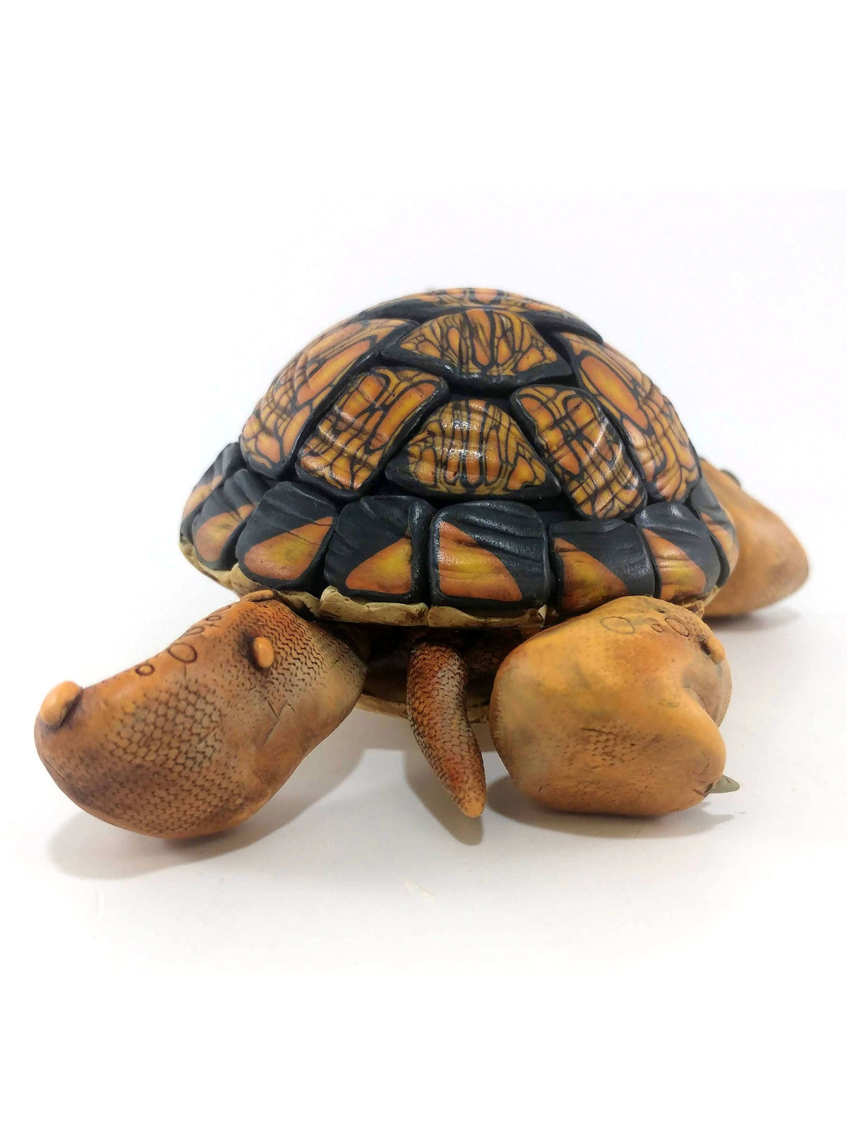 How to Sculpt Realistic Turtles in Polymer Clay | Curious Mondo