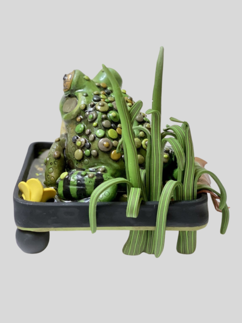 Sculpting a Polymer Clay Frog in a Pond | Curious Mondo